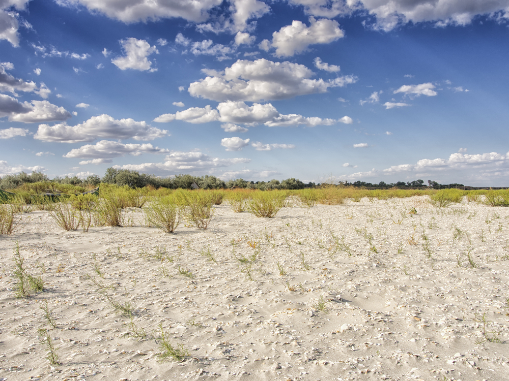 Plaja Vadu, un colț de paradis care trebuie protejat